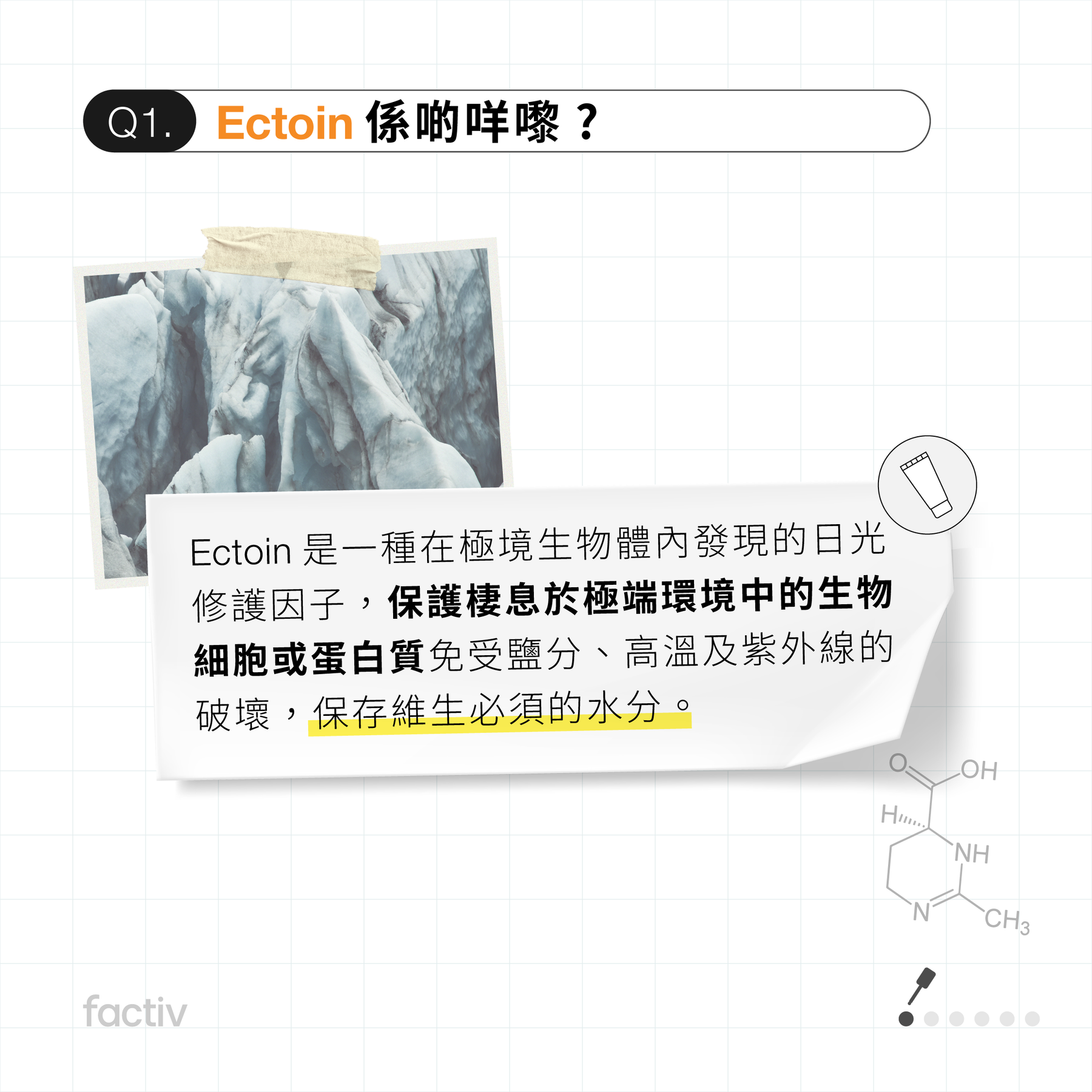 甚麽是Ectoin？｜factiv 香港科研護膚